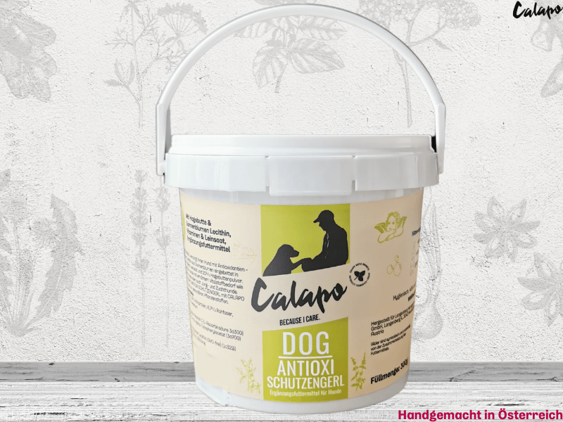 Home - Calapo - Fermentierte Naturprodukte für einen gesunden Darm